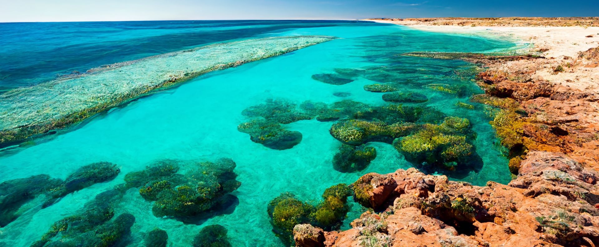 Australia's West Coast Odyssey | RAC WA