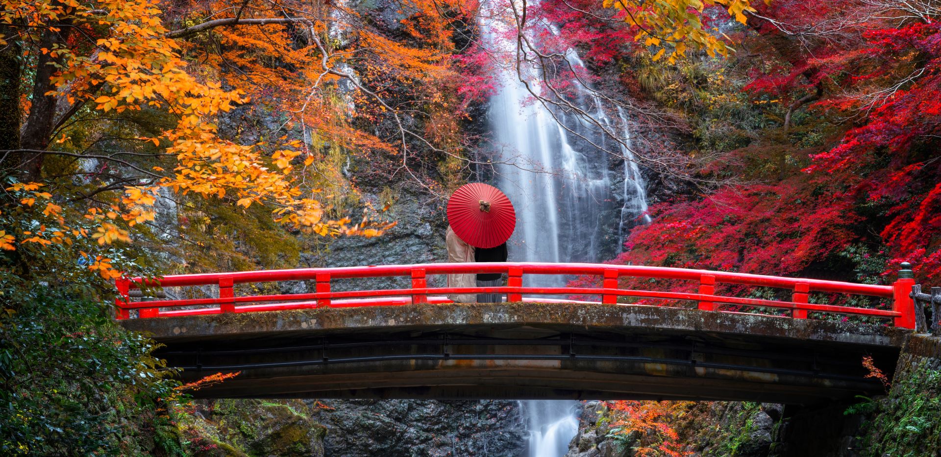 Majestic Japan Luxury Gold | RAC WA